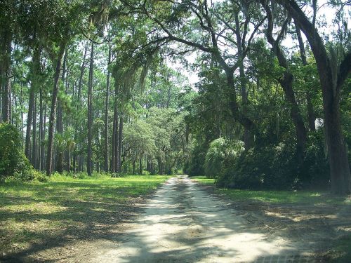 Kerr City: A Real Ghost Town In Florida That's Haunted