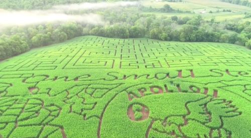6 Of The Best Corn Mazes In Virginia