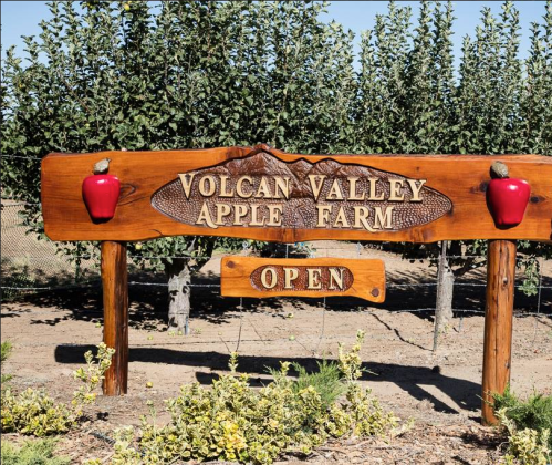 Go Apple Picking In Southern California At These 6 Farms