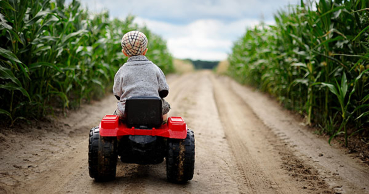 6 Of The Best Corn Mazes In Virginia