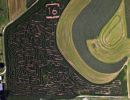 Check Out The Best Corn Mazes In Wisconsin For Some Fall Fun