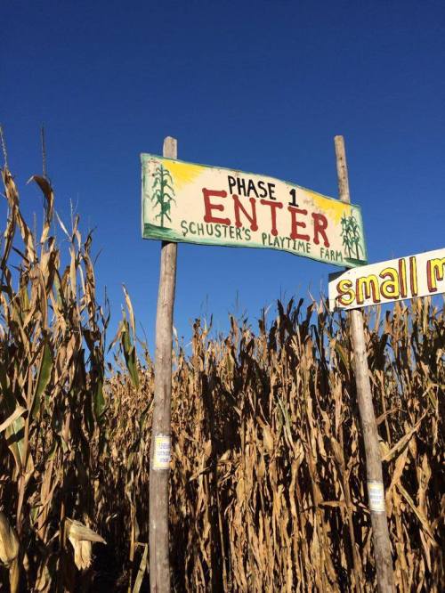 Check Out The Best Corn Mazes In Wisconsin For Some Fall Fun