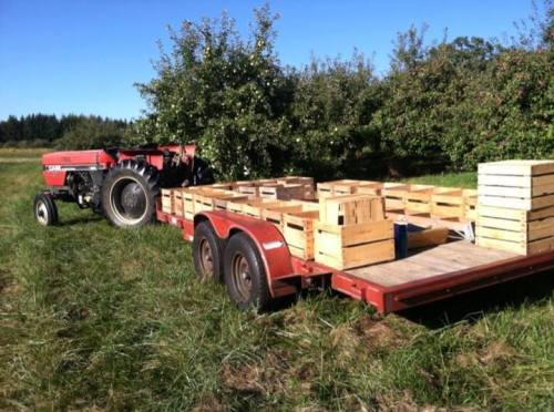 The 10 Best Apple Orchards in Wisconsin