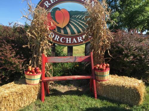 10 Best Apple Orchards In Illinois For A Fall Day