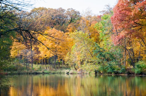 Take This Spectacular Fall Color Drive In Illinois