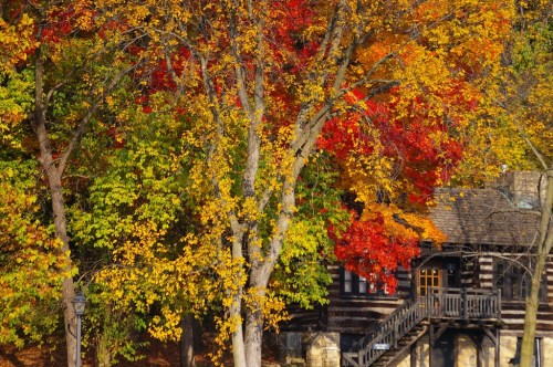 Take This Spectacular Fall Color Drive In Illinois