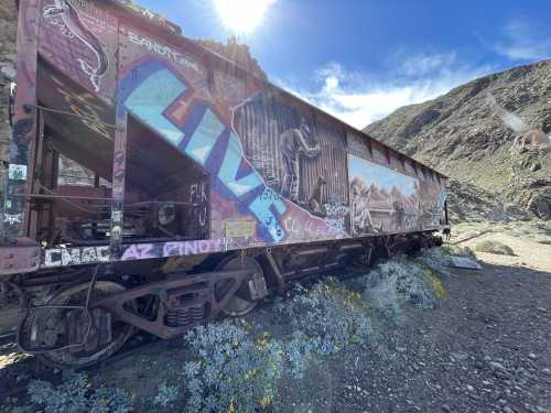 Goat Canyon Trestle: The Abandoned Railroad Bridge In California