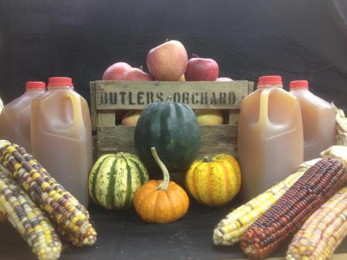 The 10 Best Apple Orchards Near Washington DC