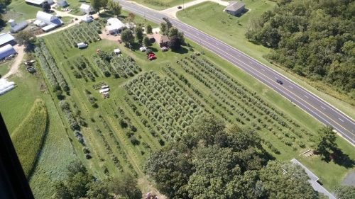 These 10 Farms Are The Best Apple Orchards In Iowa