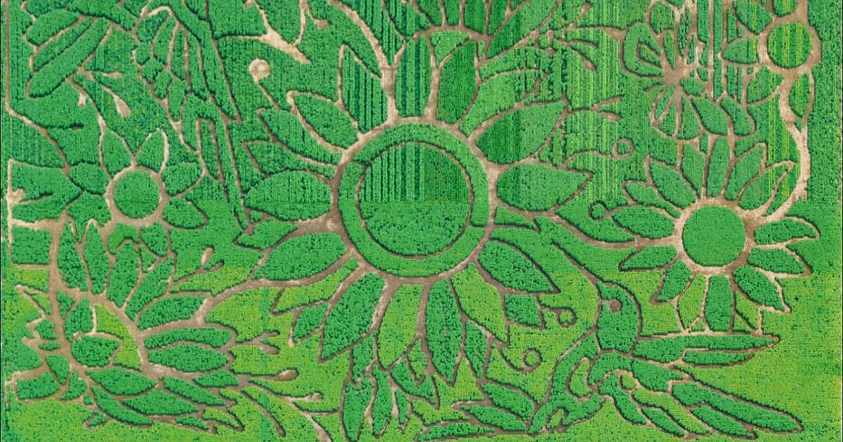 9 Of The Best Corn Mazes In Indiana To Explore This Fall