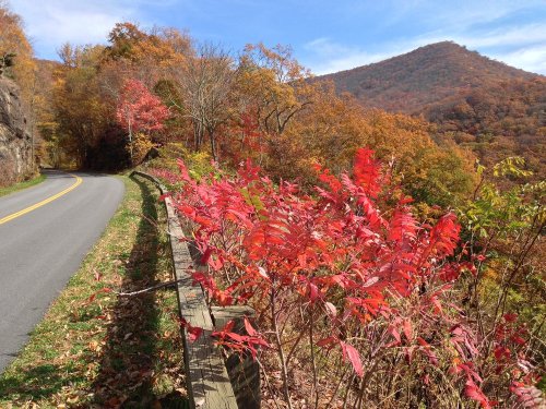 Discover the Blue Ridge Parkway: America's Favorite Scenic Drive
