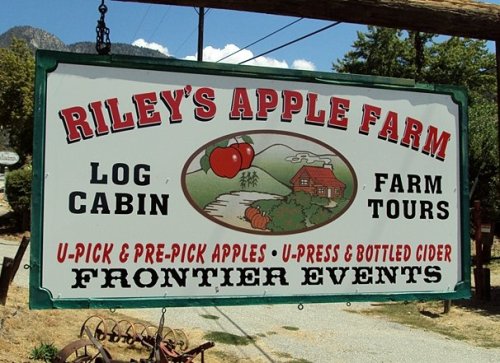 Go Apple Picking In Southern California At These 6 Farms