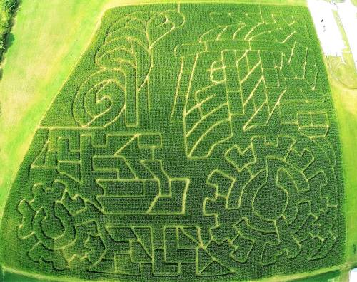 9 Of The Best Corn Mazes In Indiana To Explore This Fall