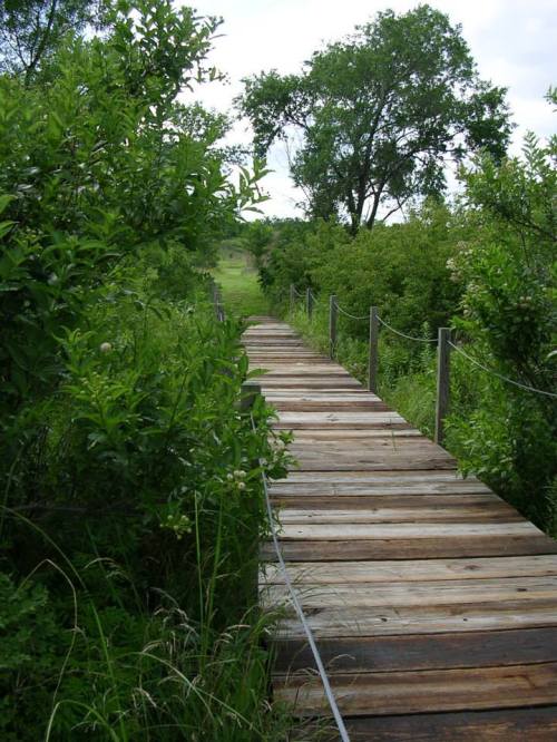 9 Easy Hikes Are The Best Hikes In Kansas