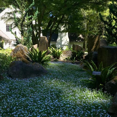 Secret Garden Portland: Leach Botanical Gardens Is Like A Dream
