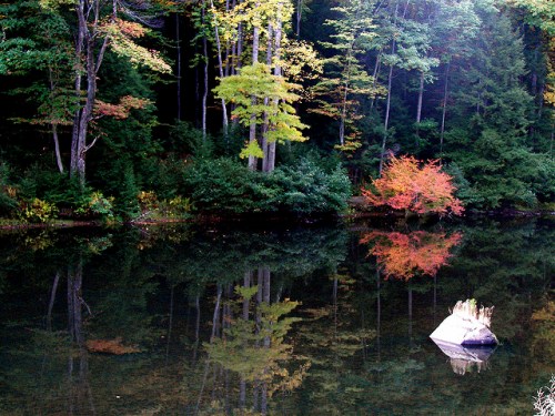 Things To Do In Renovo, Pennsylvania: A Guide List