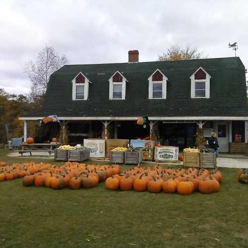 11 Of The Best Pumpkin Patches In Maine To Visit This Fall