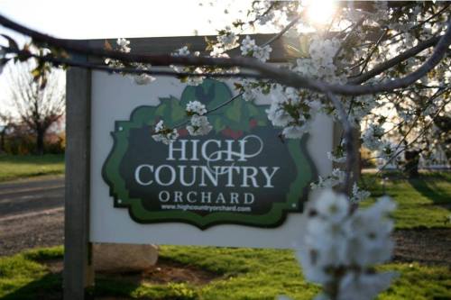 10 Best Apple Orchards In Washington