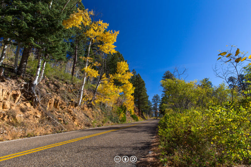 8 Country Roads In Arizona That Are Pure Bliss In The Fall