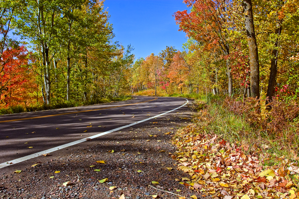10 Country Roads In Minnesota That Are Pure Bliss In The Fall