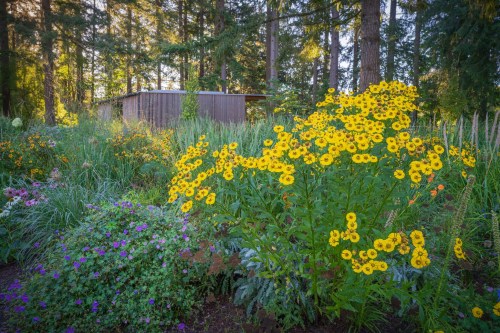 Secret Garden Portland: Leach Botanical Gardens Is Like A Dream