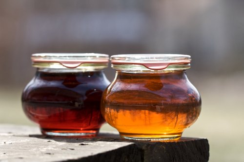 What Food Is New Hampshire Known For: 9 Iconic Foods In NH