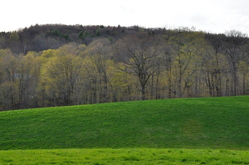 Westminster, Vermont: The Oldest Town To Visit
