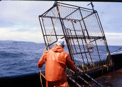 16 Things You’ll Remember If You Grew Up In The 80s In Alaska