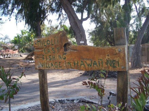 Things To Do In Milolii Hawaii: A Beautiful & Remote Fishing Village