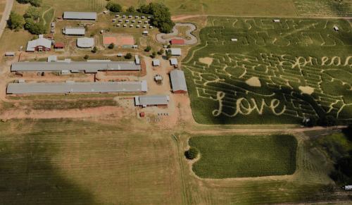 The Best And Most Unique Corn Mazes In Missouri