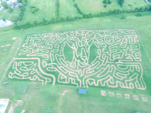 7 Of The Best Corn Mazes In Tennessee