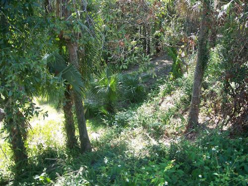 The Ravine Walk In Florida Is An Incredibly Beautiful Hike