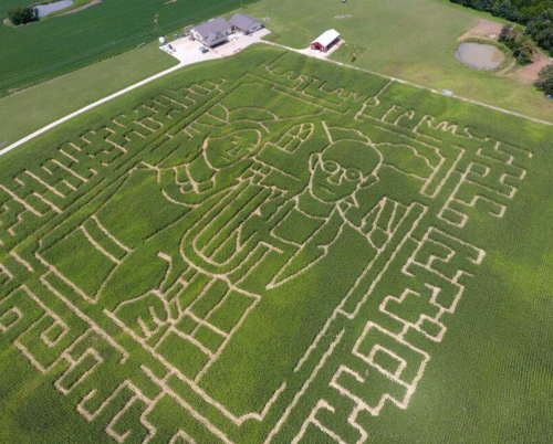 The Best And Most Unique Corn Mazes In Missouri