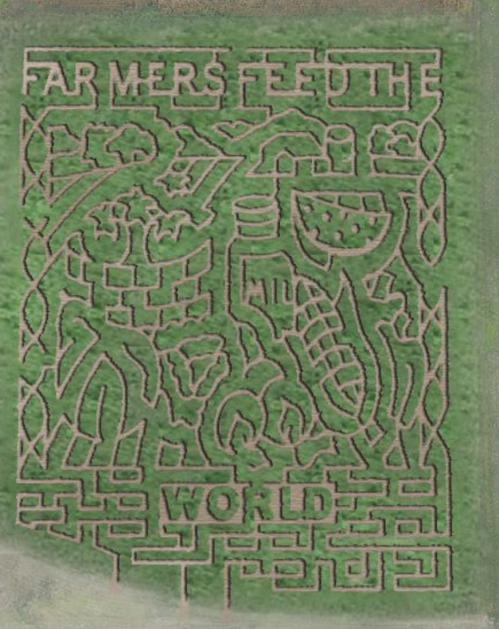 The Best And Most Unique Corn Mazes In Missouri