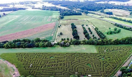 The Best And Most Unique Corn Mazes In Missouri