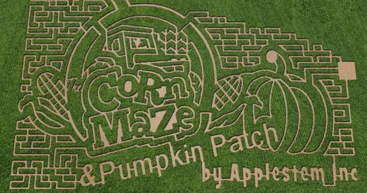 6 Awesome Corn Mazes In Montana For This Fall