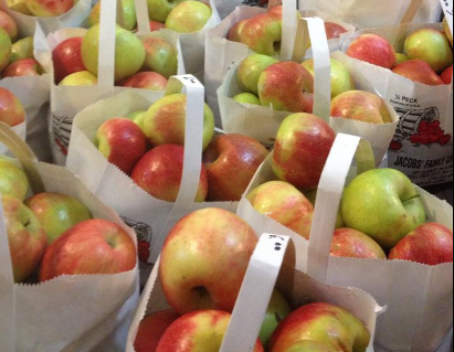 10 Best Apple Orchards In Indiana For A Fall Day