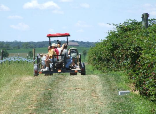 10 Best Apple Orchards In Indiana For A Fall Day