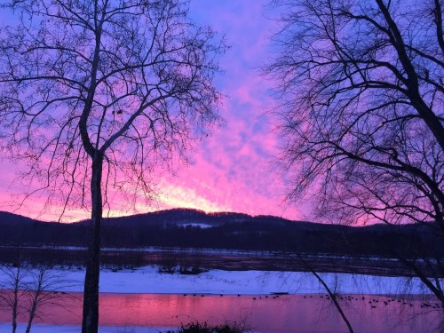 Isle Of Que: One of The Most Enchanting Islands In Pennsylvania