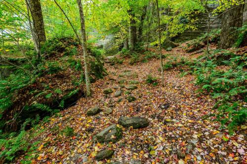 Panama Rocks Scenic Park In New York Is Positively Magical