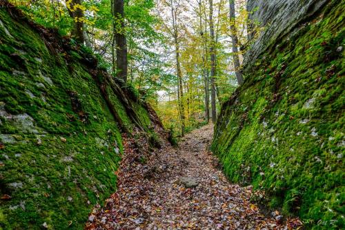 Panama Rocks Scenic Park In New York Is Positively Magical