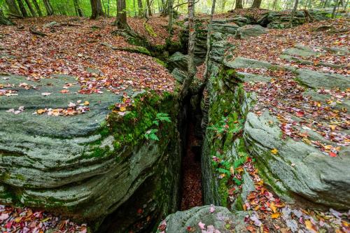 Panama Rocks Scenic Park In New York Is Positively Magical