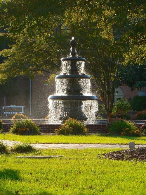 The Best Things To Do In Georgetown, Delaware