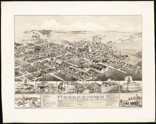 The Best Things To Do In Georgetown, Delaware