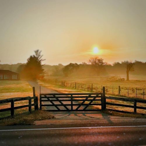 11 Loveliest Small Rural Towns In Tennessee