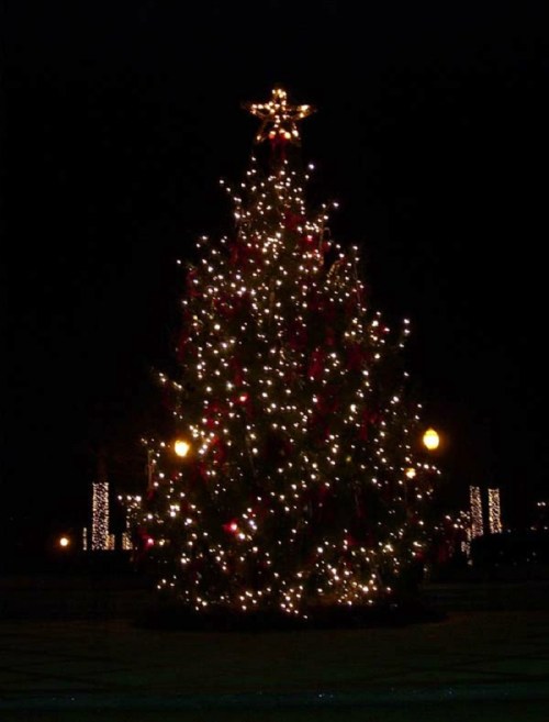 12 Of The Most Enchanting Christmas Events In Alabama