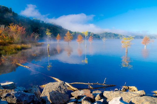 11 Loveliest Small Rural Towns In Tennessee