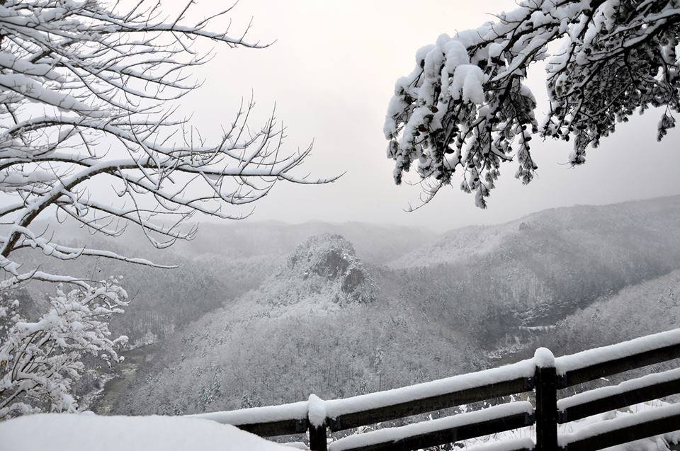 These 10 Short But Beautiful Winter Hikes In Kentucky Are Perfect