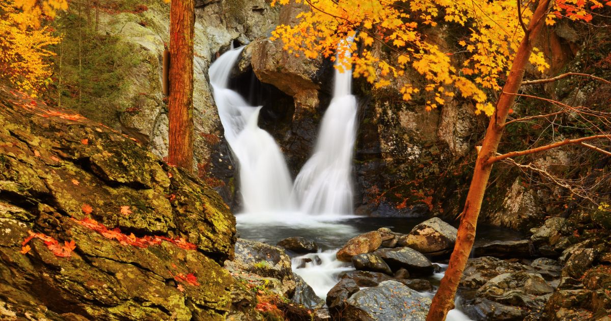 The Ultimate And Definitive Bucket List For Everyone In Massachusetts