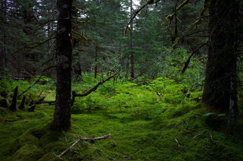 Port Chatham Alaska: The Creepiest Abandoned Town In The State